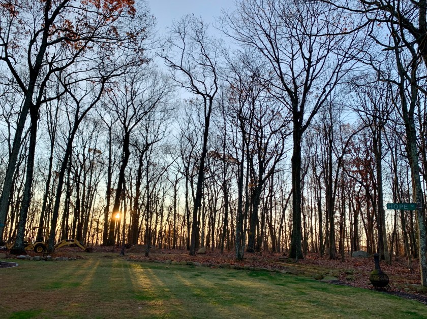 How to Overcome a Lack of Creativity – Tea Addicts Anonymous